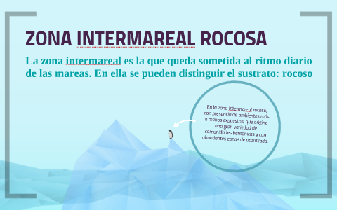 ZONA INTERMAREAL ROCOSA by Joanna de la Cruz on Prezi