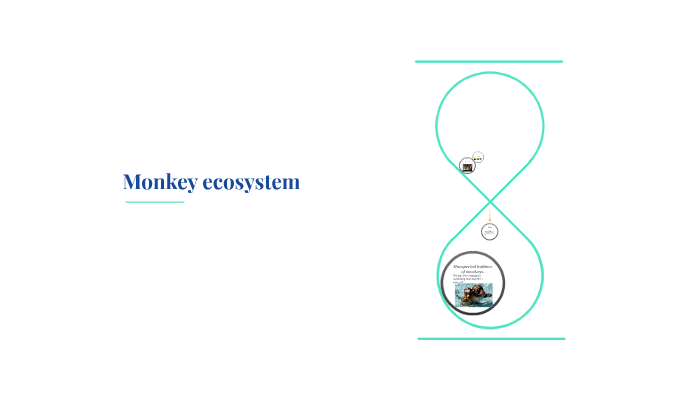 Monkey ecosystem by savannah f on Prezi