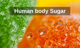 human body sugar by savannah garroni on Prezi