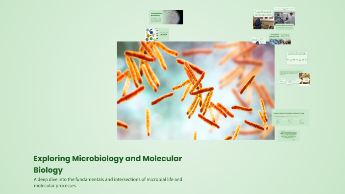 Exploring Microbiology and Molecular Biology by Anežka Hubačová on Prezi