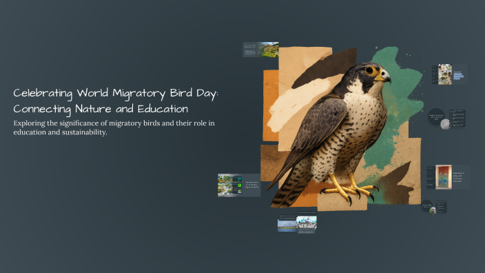Celebrating World Migratory Bird Day: Connecting Nature and Education ...