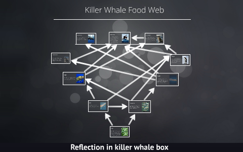 Killer Whale Food Pyramid by Brennan Watt on Prezi