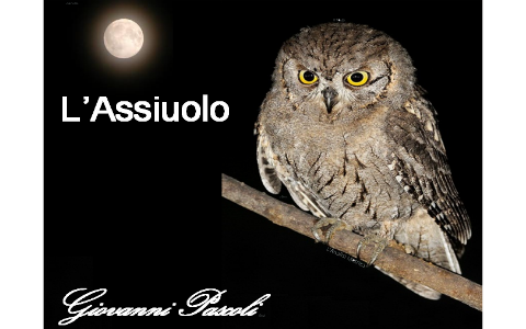 L'Assiuolo - Poesia by Brasichingo Brasi on Prezi