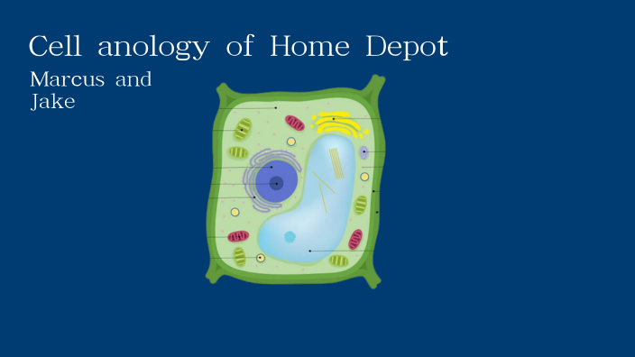 Cell Analogy by Jake Rambo on Prezi