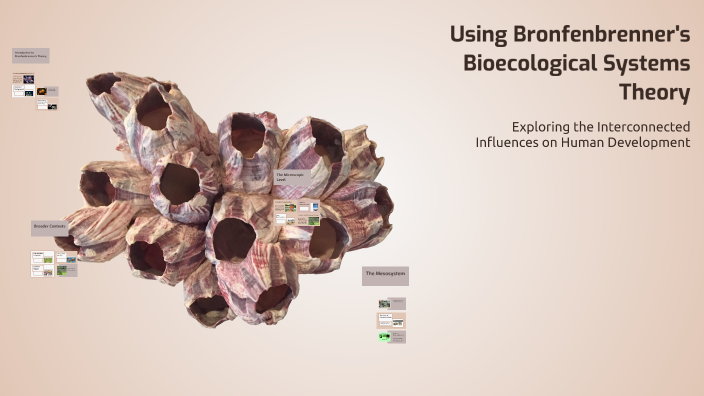 Using Bronfenbrenner's Bioecological Systems Theory by Stephanie Filip ...