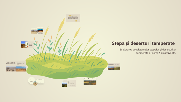 Stepa și deserturi temperate by Ciocut Erica on Prezi