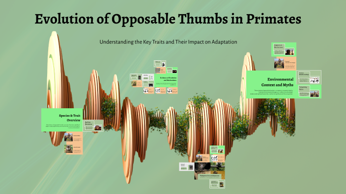 Evolution of Opposable Thumbs in Primates by Yusuf Ahmed on Prezi