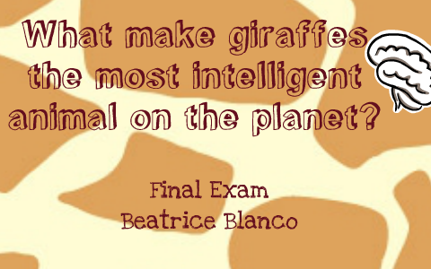 Giraffes' intelligence by Bia Blanco on Prezi