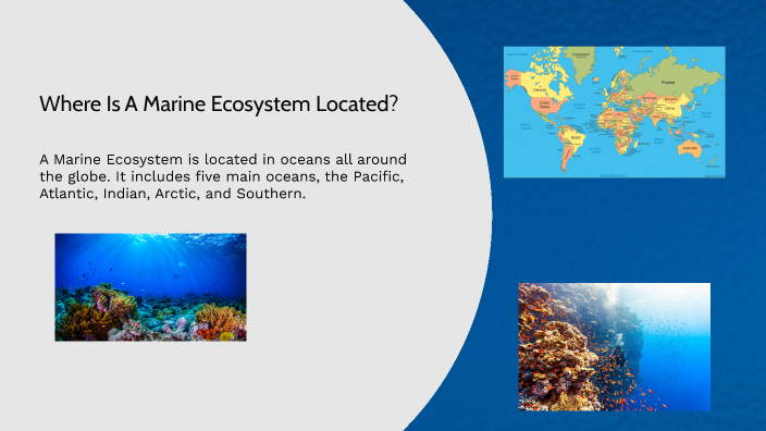 Human Impact Research Project by Christina Lopez on Prezi