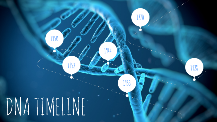 TIMELINE - DNA by Maddalena Scalco on Prezi