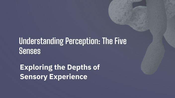 Understanding Perception: The Five Senses by Austin Graves on Prezi