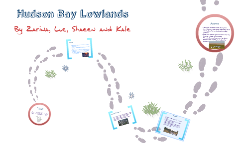 Social Studies - Hudson Bay Lowlands by L Mayor on Prezi