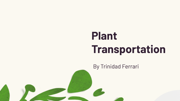 Plant Transportation by Trini Ferrari on Prezi