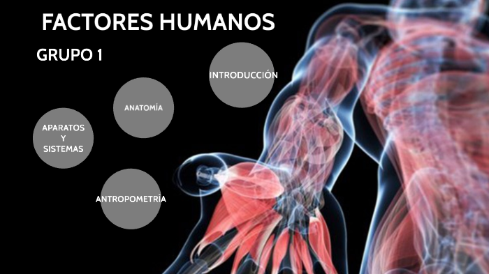 FACTORES HUMANOS by Stephanie Archbold on Prezi