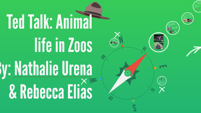 Ted Talk: Animal life in Zoos. by Becky Elias on Prezi