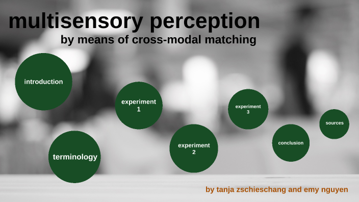 multisensory perception by Tanja Zschieschang on Prezi