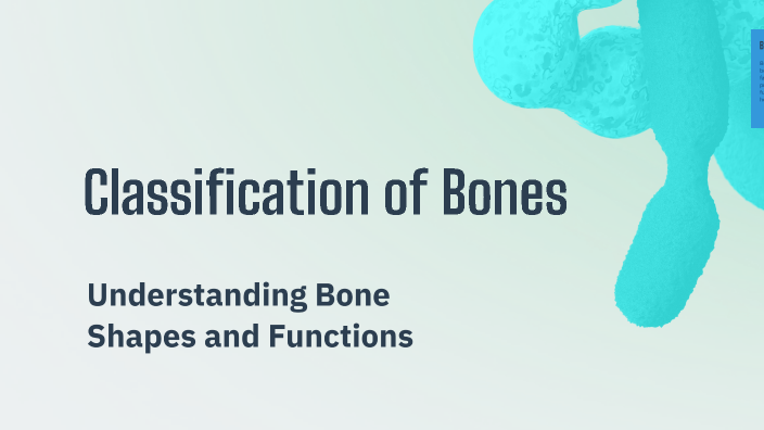 Classification of Bones by svgvg on Prezi