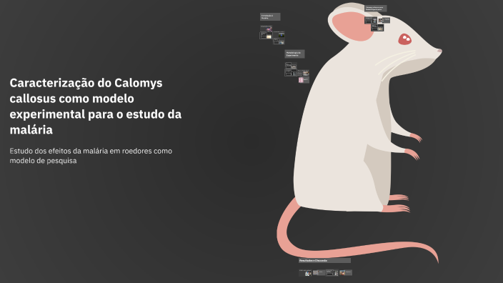 Caracterização do Calomys callosus como modelo experimental para o ...