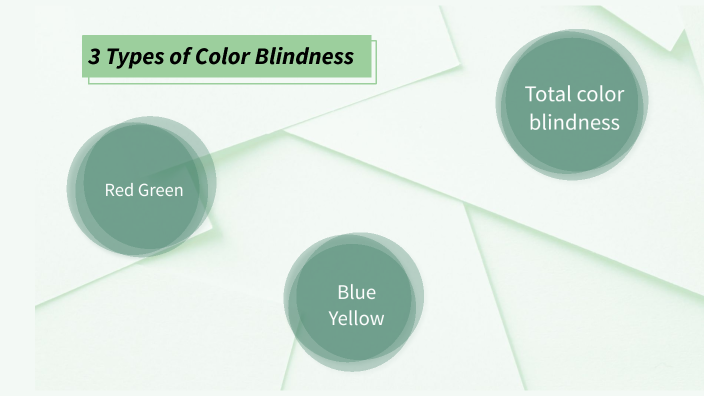 Color Blindness Project By Hailey Exume color-blindness-project-by-hailey-exume
