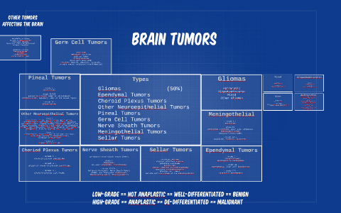 Brain Tumors by Emily Silgard on Prezi