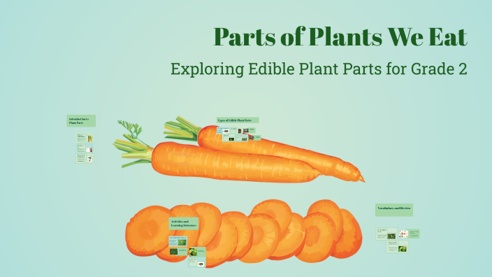 Parts of Plants We Eat by Asma Anjum on Prezi