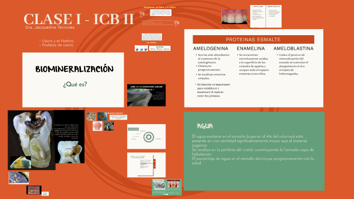 CLASE BIOMINERALIZACIÓN ESMALTE - ICB II by Jacqueline Terrones ...