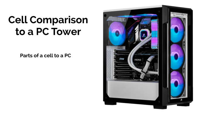 PC CELL ANALOGY by Luke Shimizu on Prezi