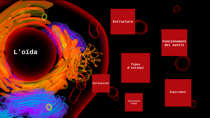 L'oïda by Pol Poveda on Prezi