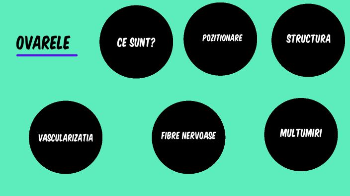 Ovarele by BANCOS ANDREEA MARIA on Prezi