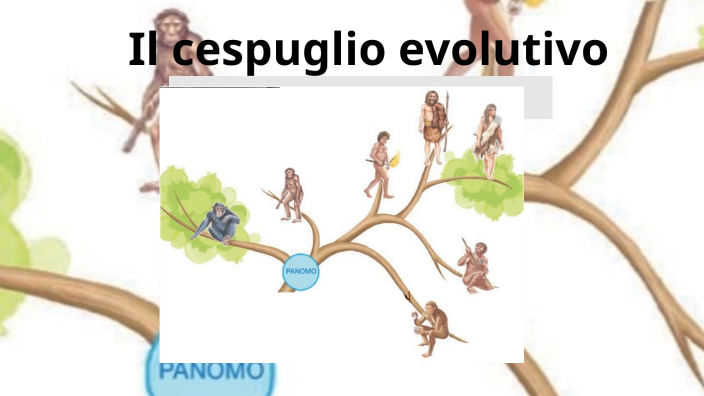 Il cespuglio evolutivo by Carmen Gallo on Prezi