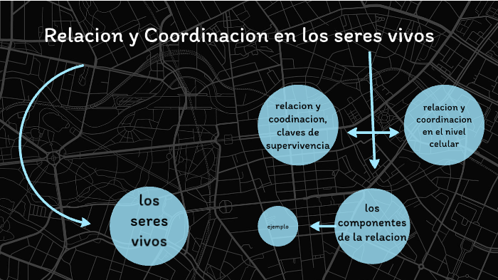 Relacion y Coordinacion en los seres vivos by Sebastian M. Adrian Gonzales Milla on Prezi