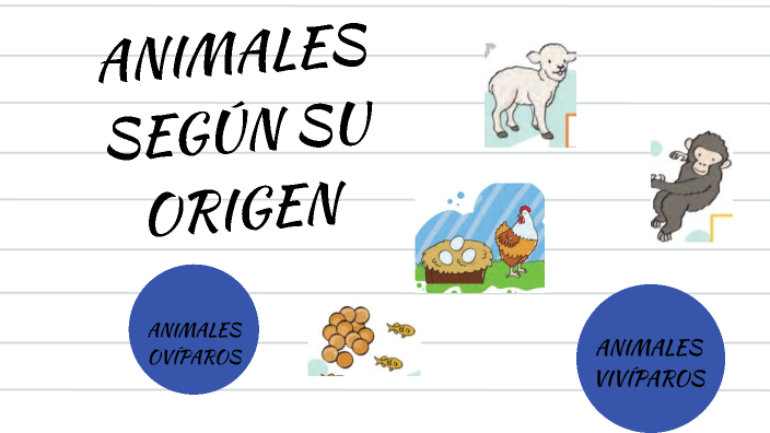 ANIMALES SEGÚN SU ORIGEN by Andrea C on Prezi