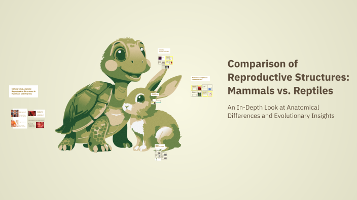 Comparison of Reproductive Structures: Mammals vs. Reptiles by Leslie ...