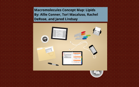 Macromolecules Concept Map by on Prezi