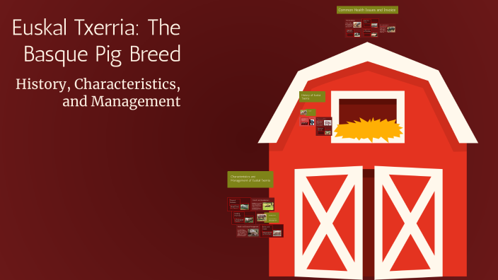 Euskal Txerria: The Basque Pig Breed by Eneko Zubia Aranalde on Prezi