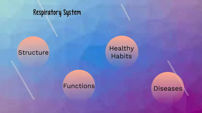 Respiratory System by Phillipp Peters