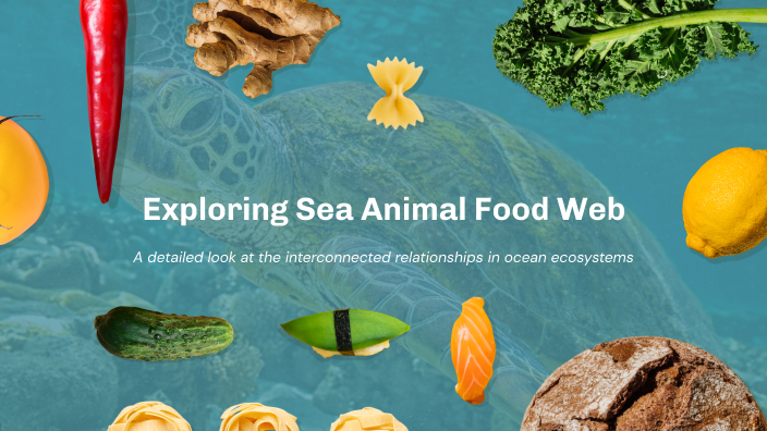 Exploring Sea Animal Food Web by Phoenix Fishman on Prezi