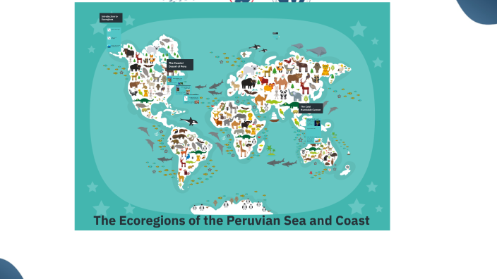 9TH CYCLE 4 - The Ecoregions of the Peruvian Sea and Coast by BRIGGITTE ...