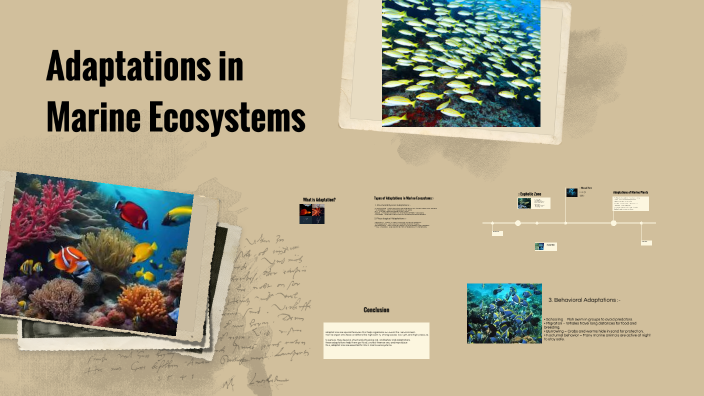 ADAPTATIONS IN MARINE ECOSYSTEMS by Rithvik Lingala on Prezi