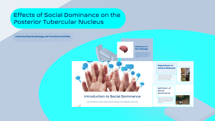 Effects of Social Dominance on the Posterior Tubercular Nucleus by ...