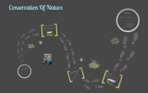 Conservation Of Nature by jacob callison on Prezi