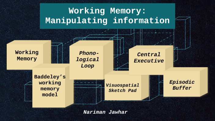 Working Memory: Manipulating Information by nariman jawhar on Prezi