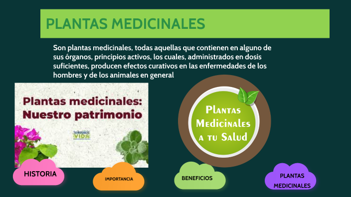 PLANTAS MEDICINALES by ROXANA CCANA PALOMINO on Prezi