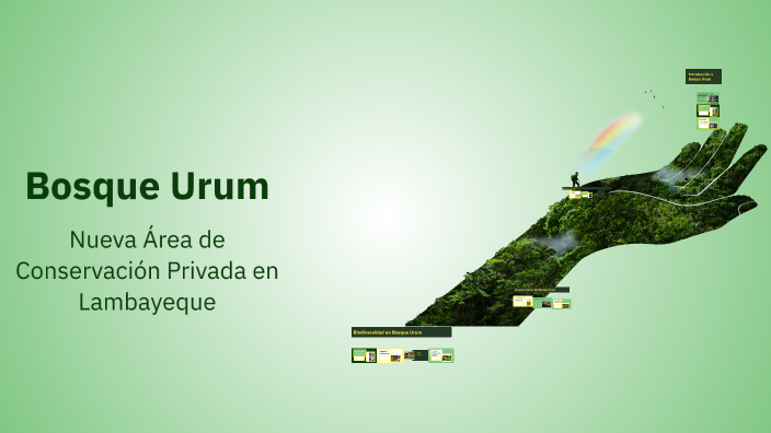 Bosque Urum by Jhoan Cornejo Uypan on Prezi