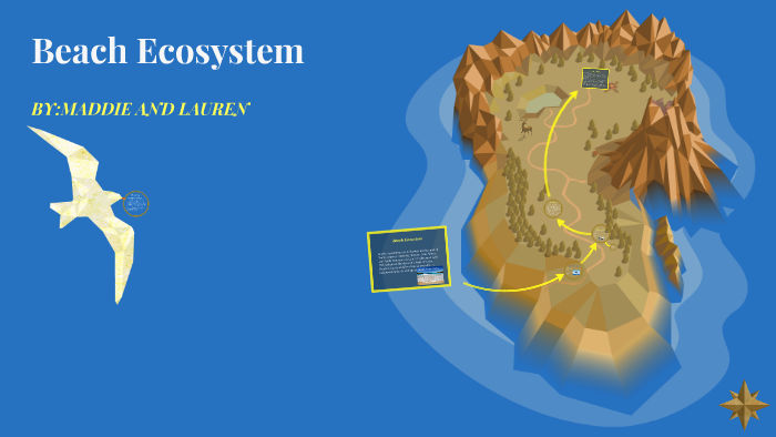 Beach Ecosystem by madison eleanor on Prezi