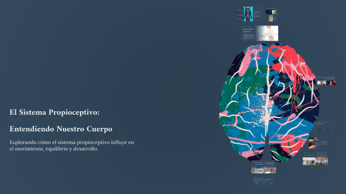 El Sistema Propioceptivo: Entendiendo Nuestro Cuerpo by Tamo Manu on Prezi