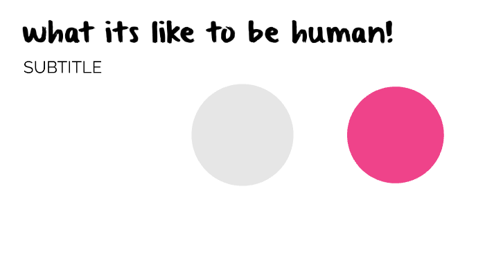 end of the year project by Lily Proctor on Prezi