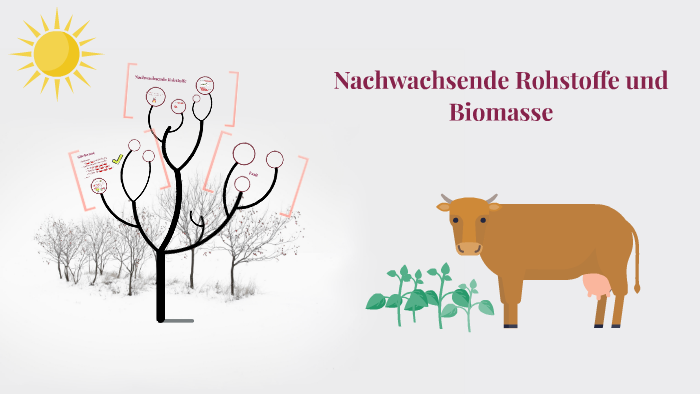 Nachwachsende Rohstoffe und Biomasse by Stella Krieger on Prezi