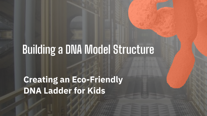 Building a DNA Model Structure by BENITHA CYUZUZO on Prezi
