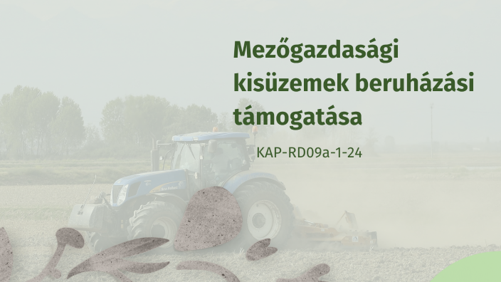 Kisüzem: A Comprehensive Guide by Balint Nemeth on Prezi
